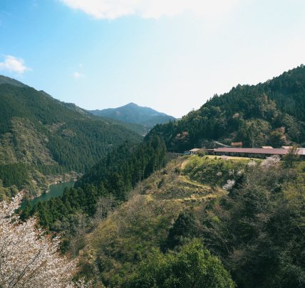 [Official] RISE & WIN KAMIKATZ | From Kamikatsu to the World: Creating ...